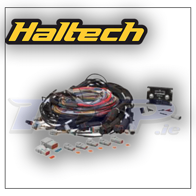 Diagrama de fiação Haltech Elite 2500 para instalação